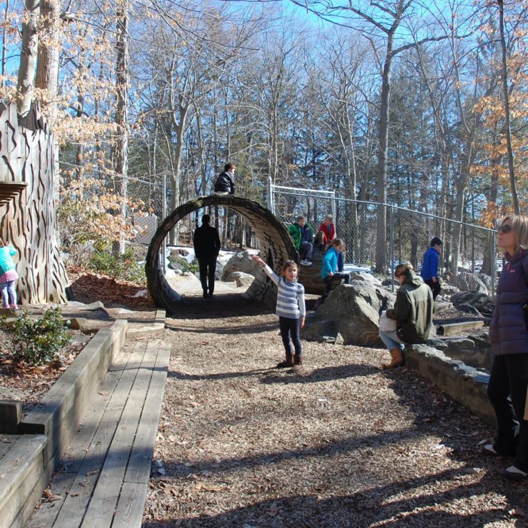 Outdoor Adventures | Stamford Museum & Nature Center