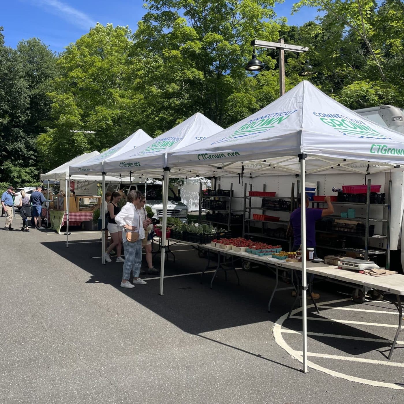 Sunday Farm Market | Stamford Museum & Nature Center