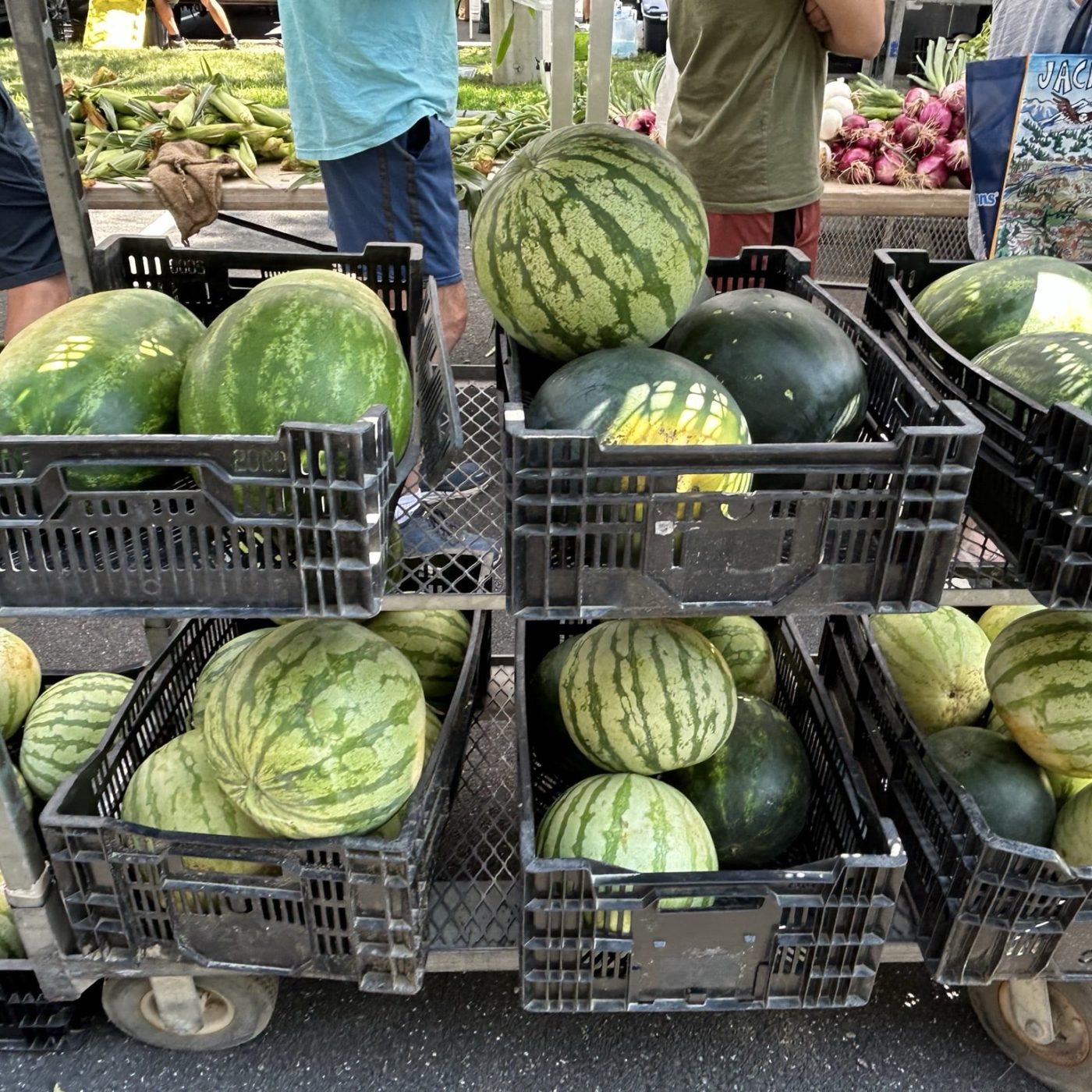 Sunday Farm Market | Stamford Museum & Nature Center