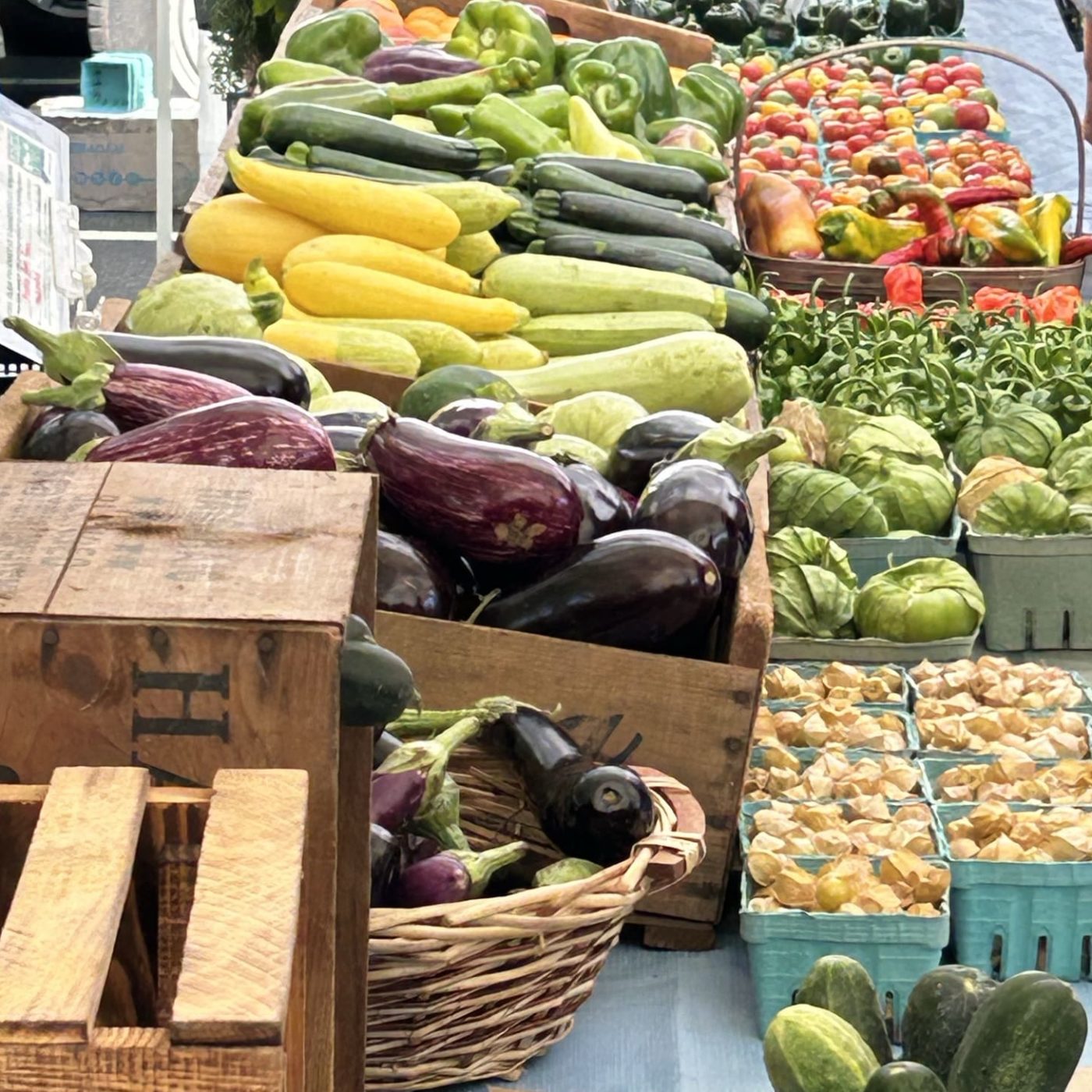 Sunday Farm Market | Stamford Museum & Nature Center
