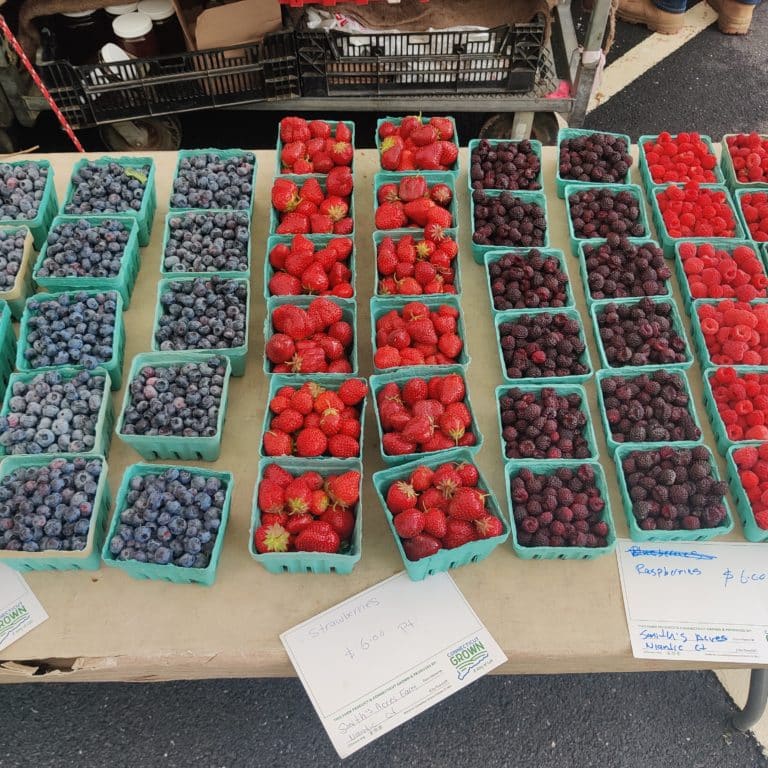 Sunday Farm Market | Stamford Museum & Nature Center