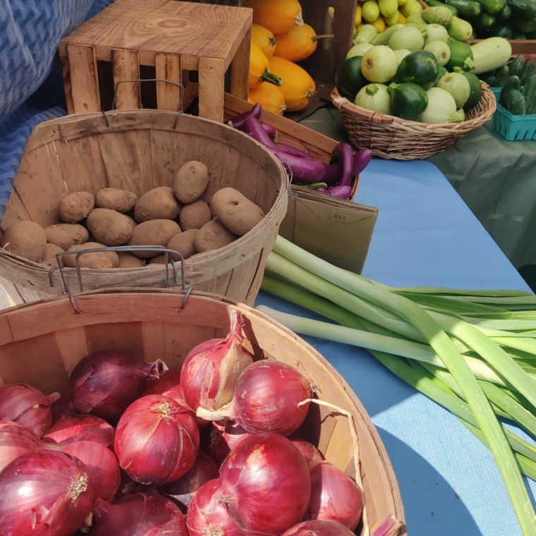 Sunday Farm Market | Stamford Museum & Nature Center