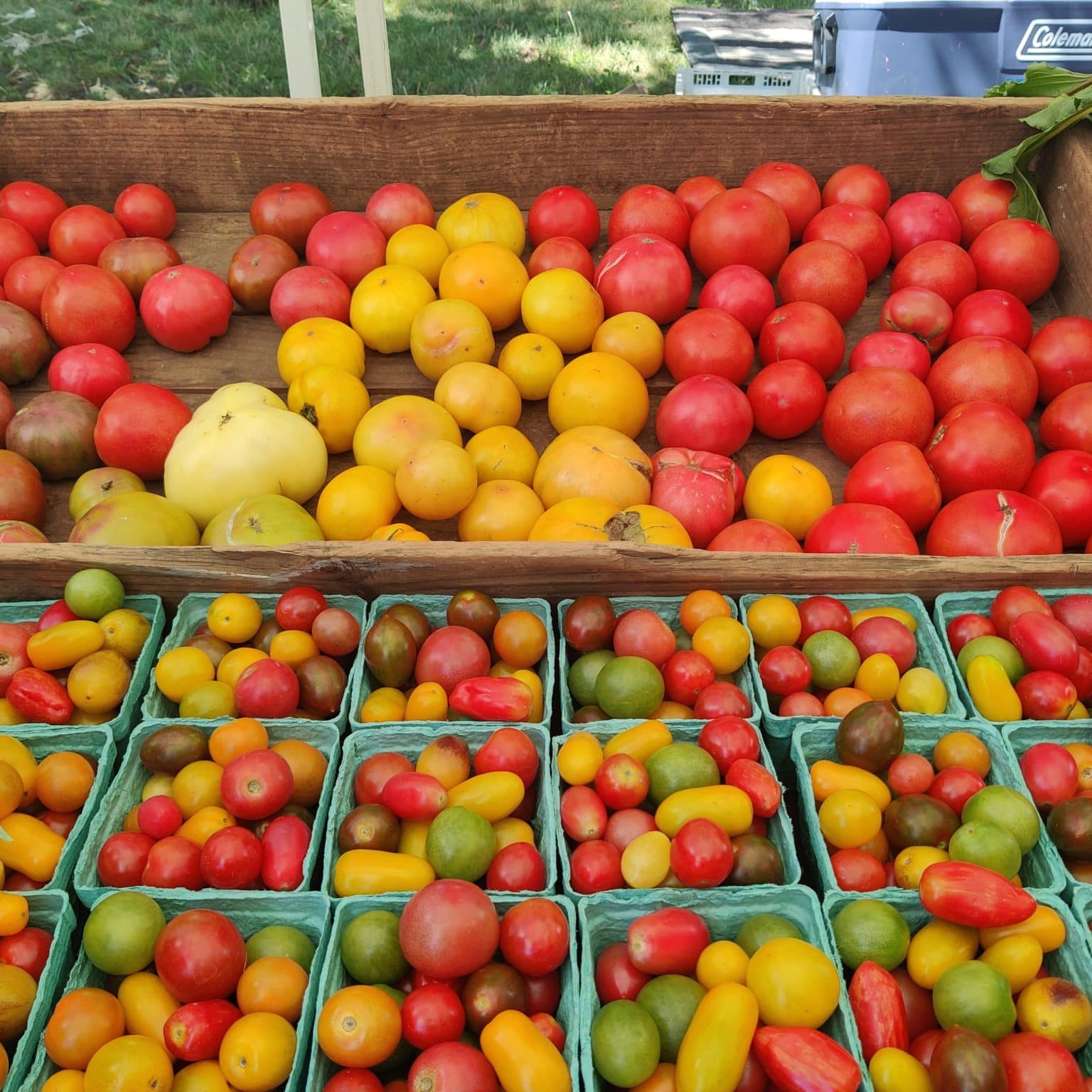 Sunday Farm Market | Stamford Museum & Nature Center
