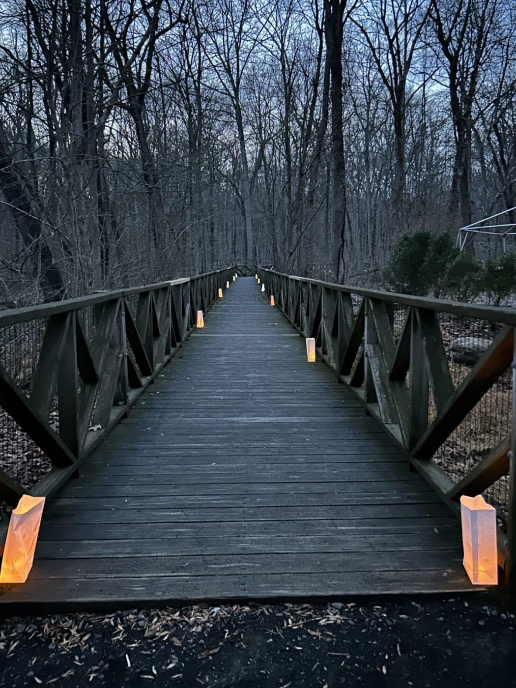 Winter Wonder Walks | Stamford Museum & Nature Center